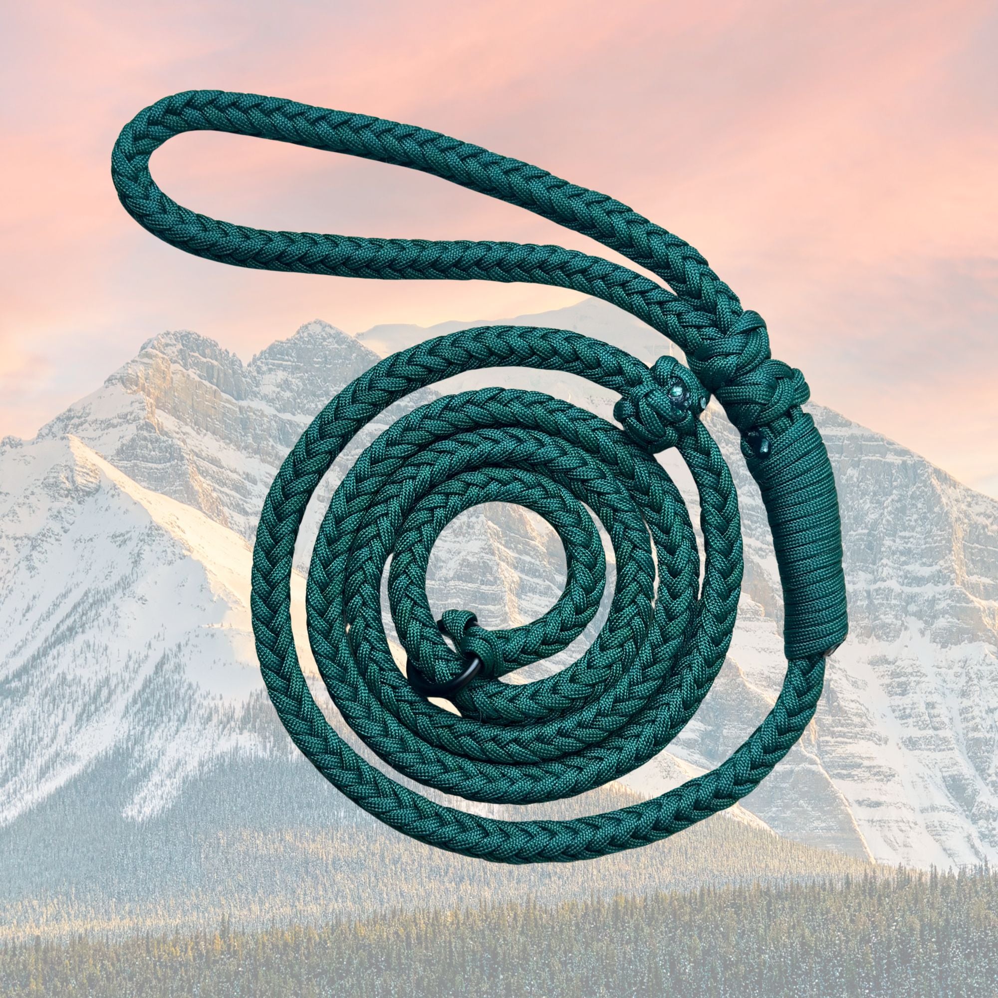 Summit Series Paracord Slip Leash – Summitdogwear